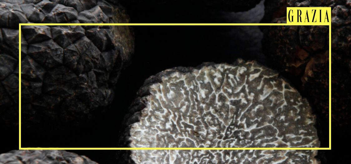 This Exotic & Rare Ingredient Rivals Retinol For Healthy Skin | Grazia ...